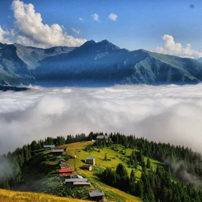 Sis Dağı Yaylası › Gezi Rehberi | Görele | Giresun Sis Dağı Yaylası › Gezi Rehberi | Görele | Giresun